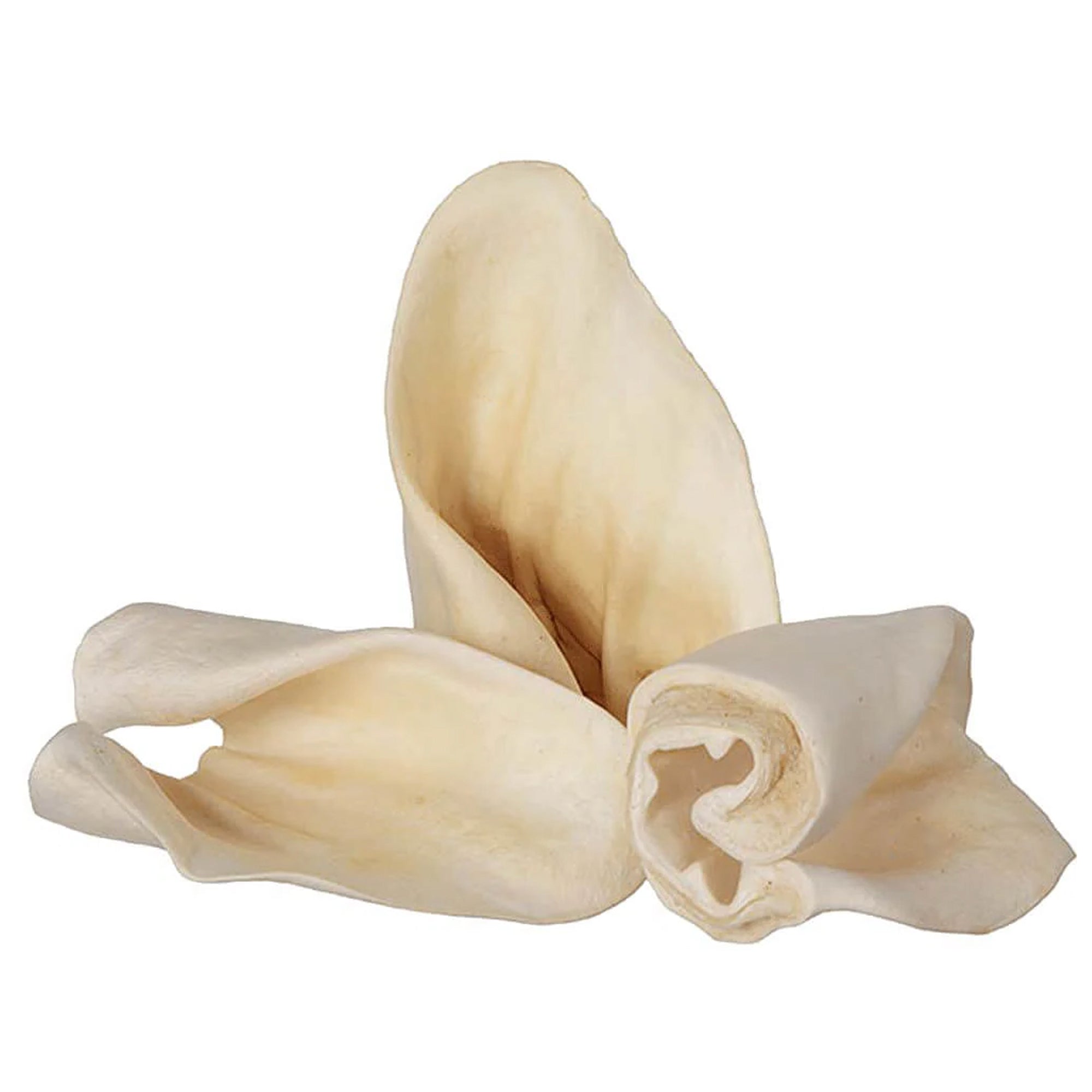 Palzandco Moodog Cow Ear Rolls, 3 Pack – Palz&Co